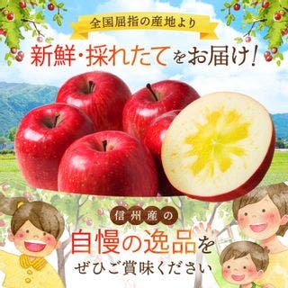 長野県千曲市 りんごの宝石箱 信州りんご 詰合せ 約3kg （8〜11玉の口コミ/評判 (ふるさと納税返礼品) | TrustCellar[トラストセラー]